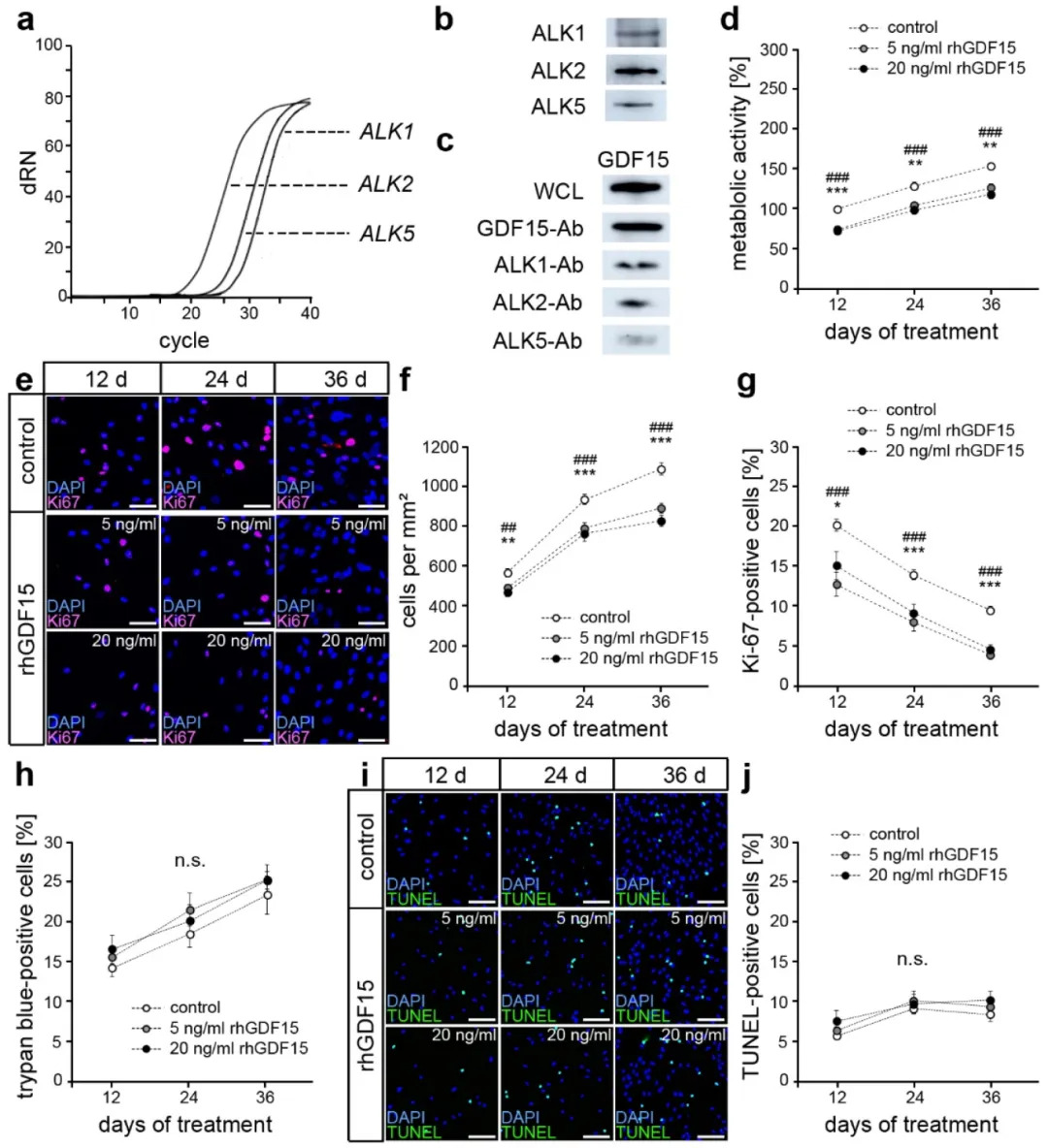 细胞压力培养|文献介绍